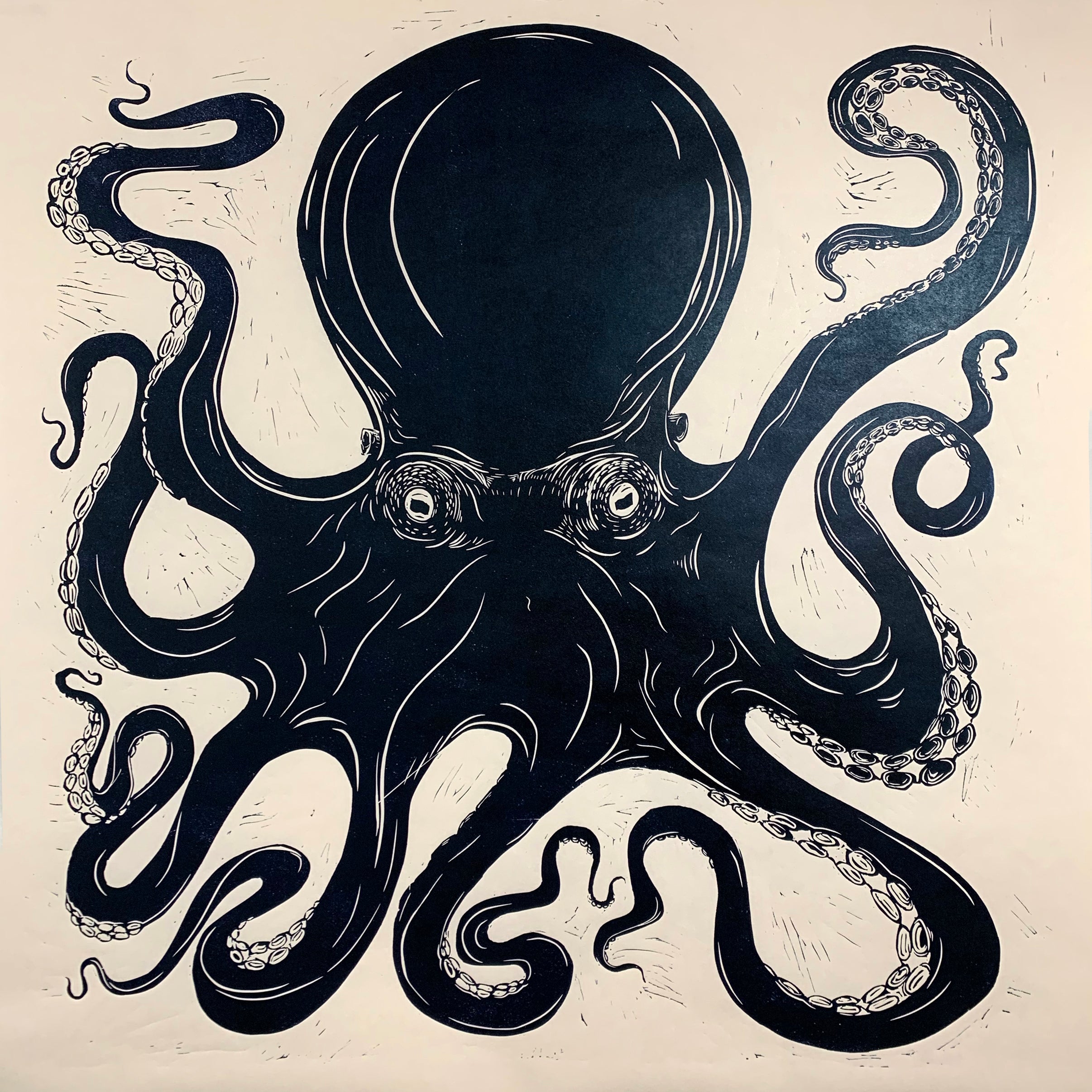 Octopuses – James Nunn Art