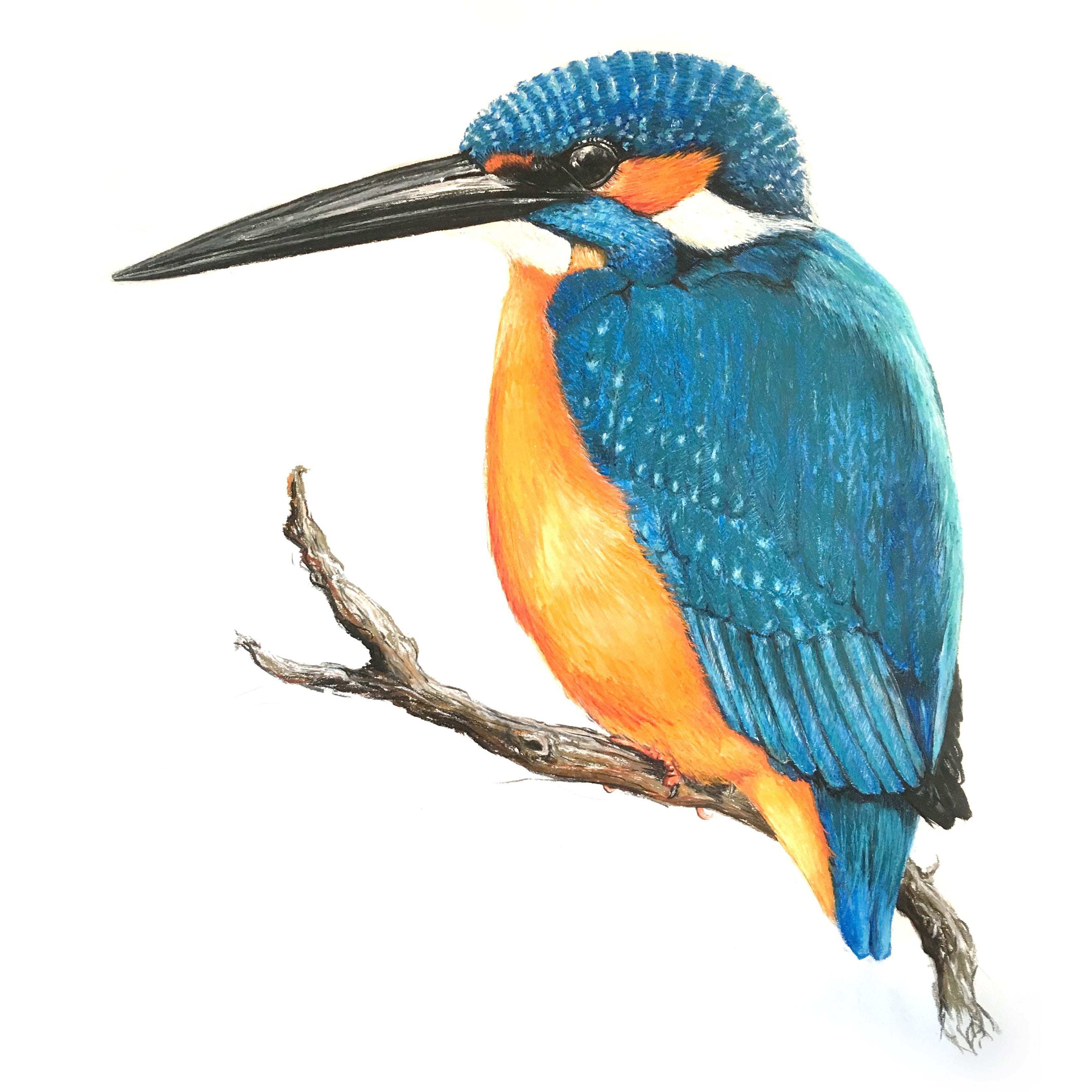 Pastel – James Nunn Art