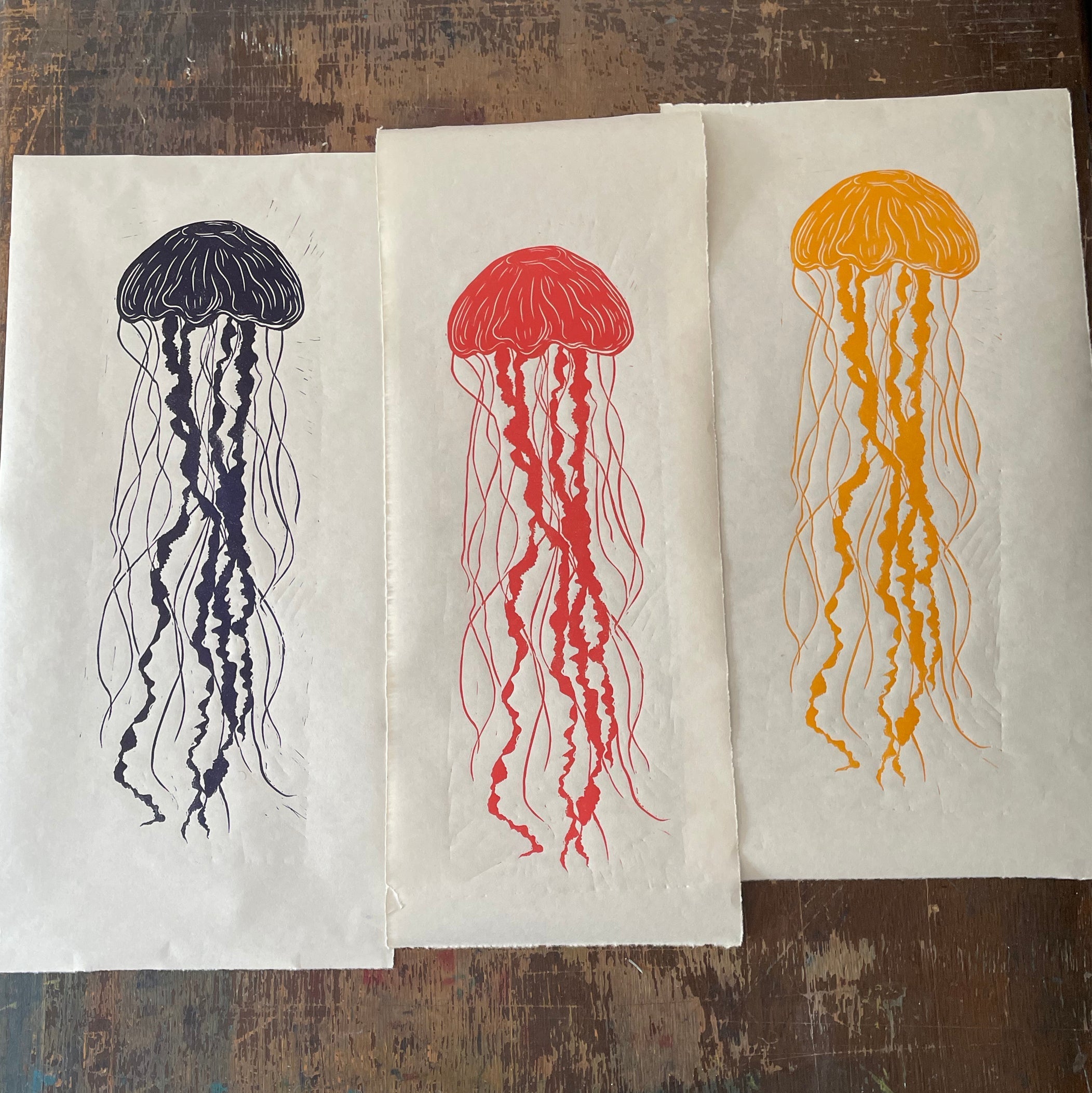 Jellyfish – James Nunn Art