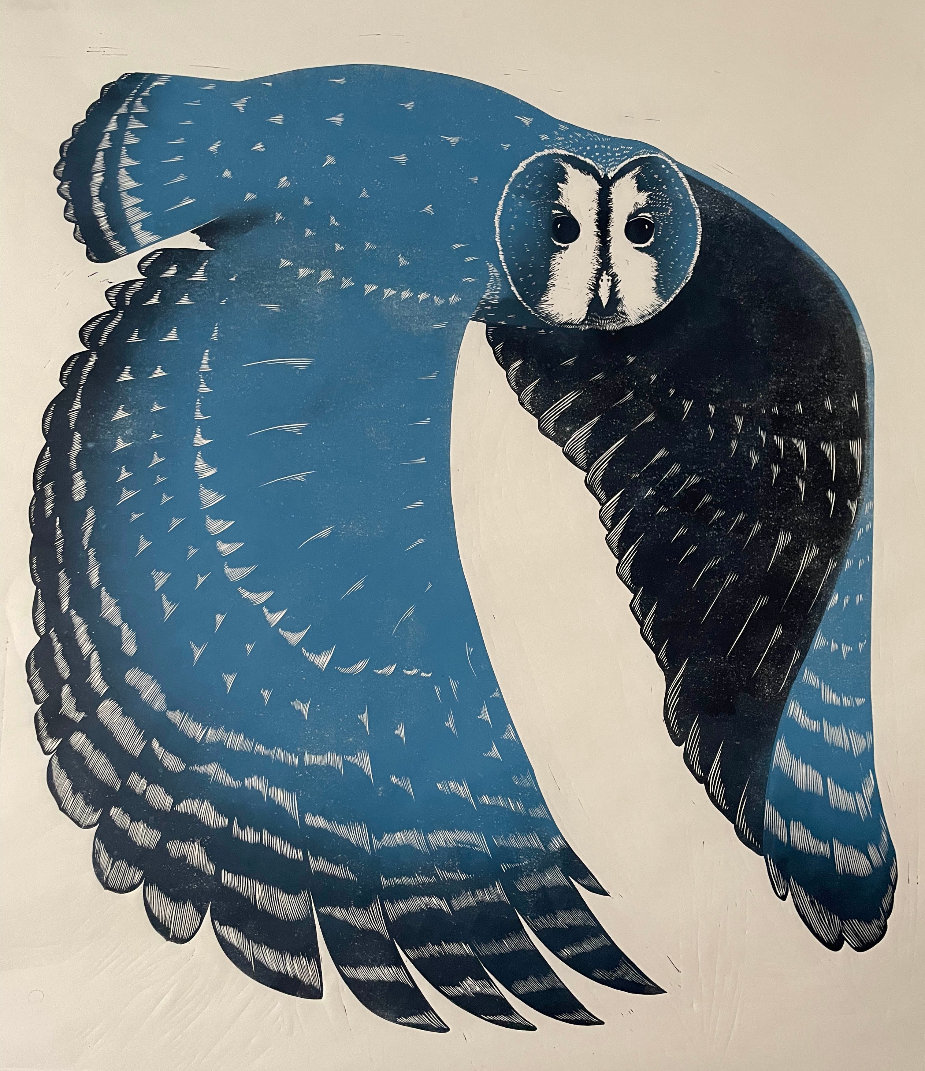 Blue Owl – James Nunn Art