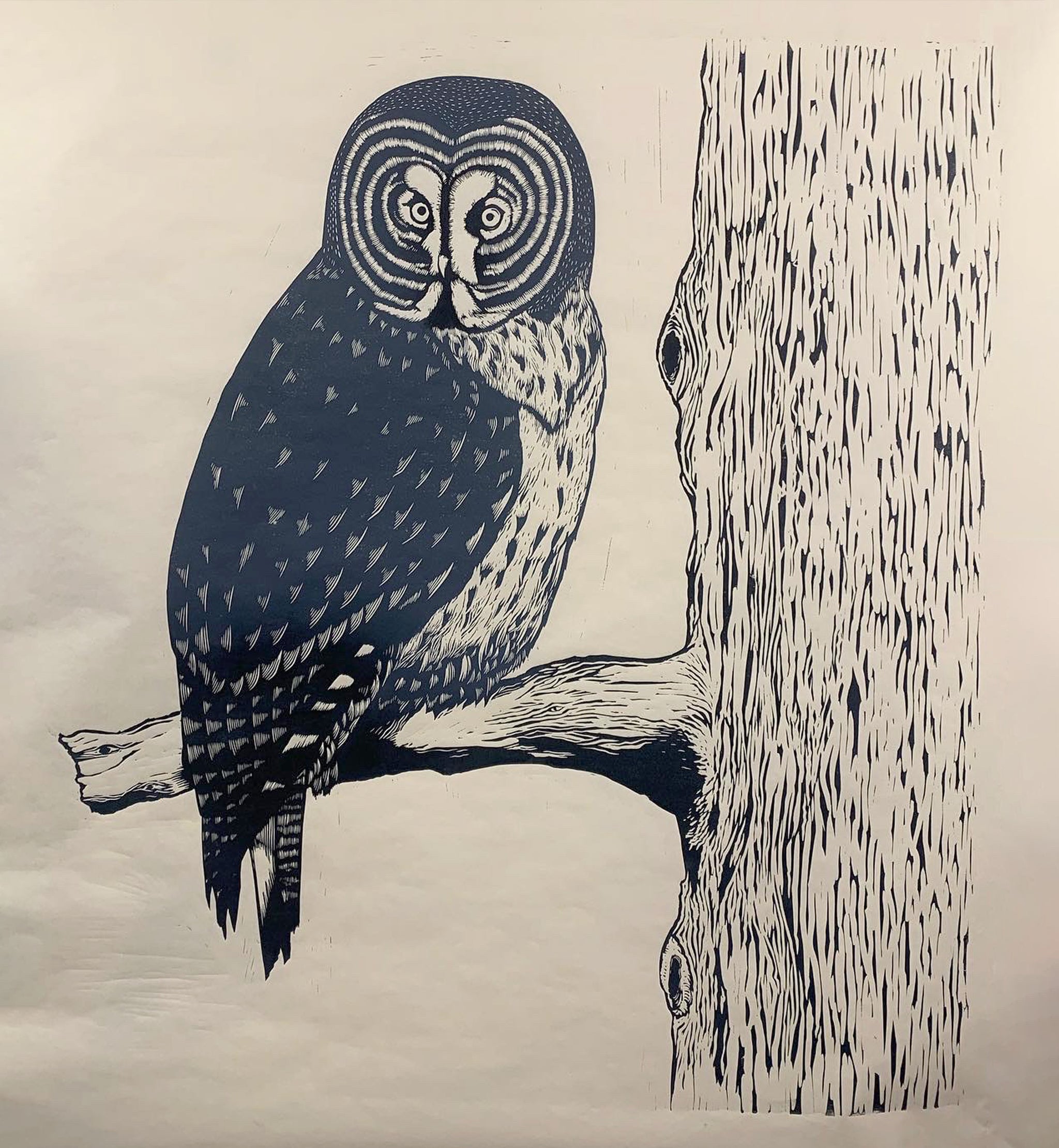 Linocuts – James Nunn Art
