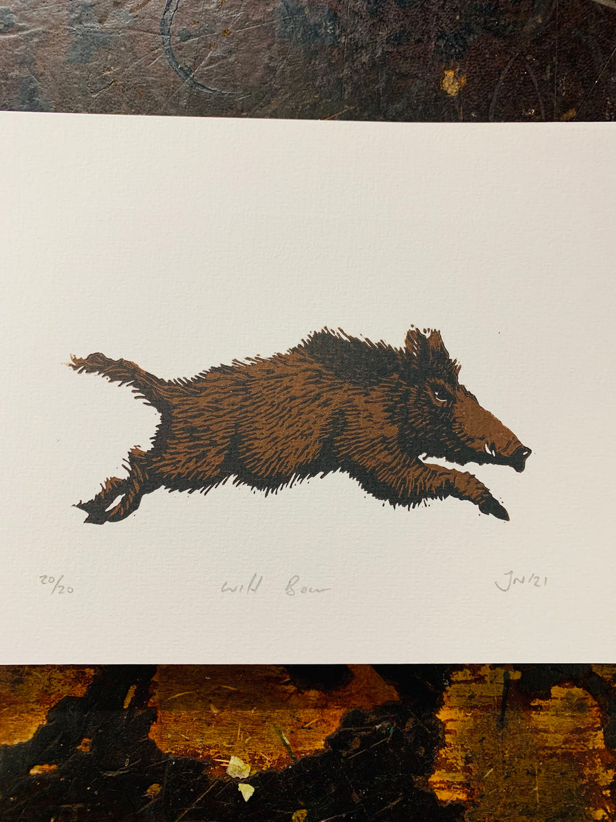 Wild Boar Linocut – James Nunn Art