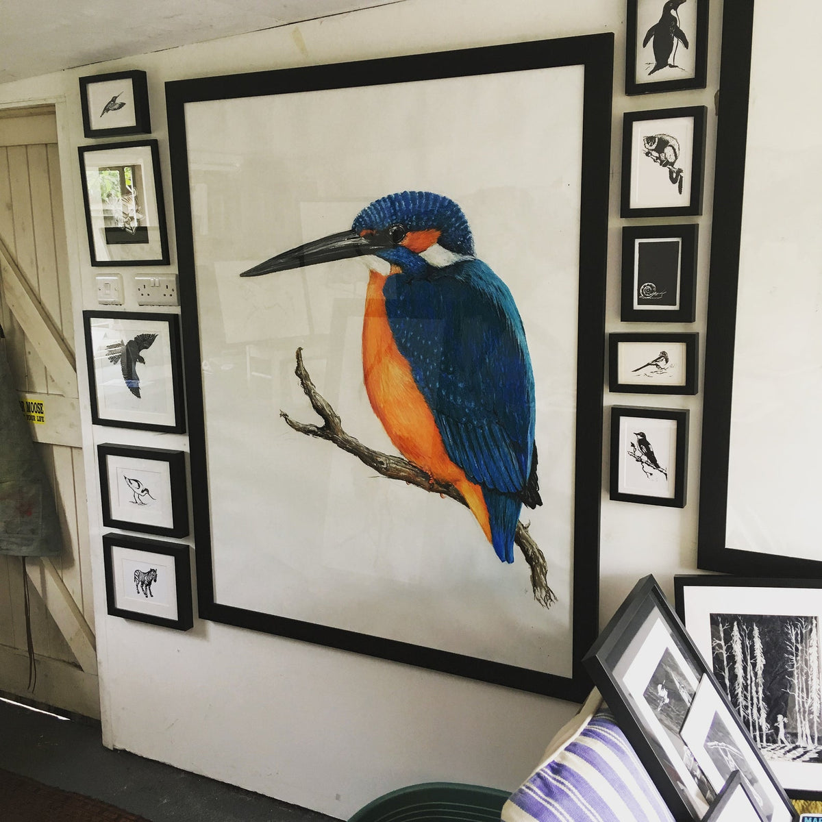 Kingfisher – James Nunn Art