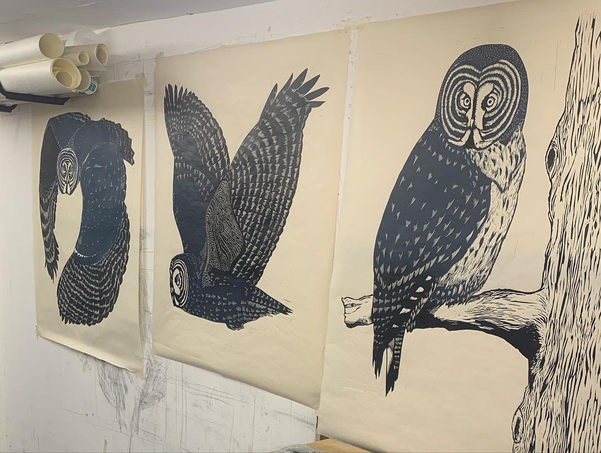 Great Grey Owl III – James Nunn Art