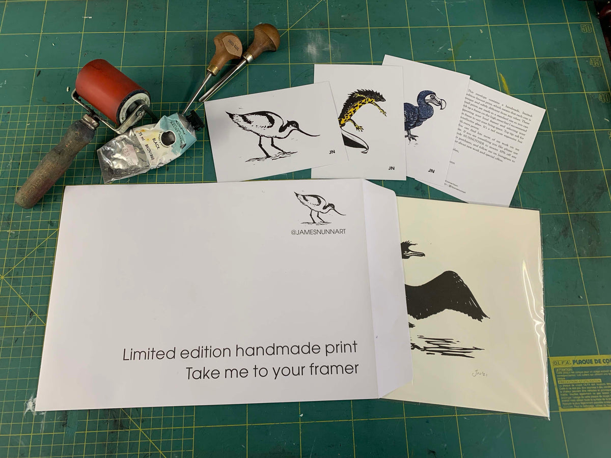 Shag – James Nunn Art